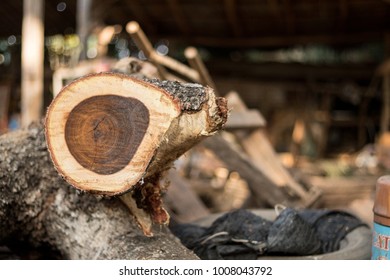 Timber Cross Section Stock Photo (Edit Now) 1008043876