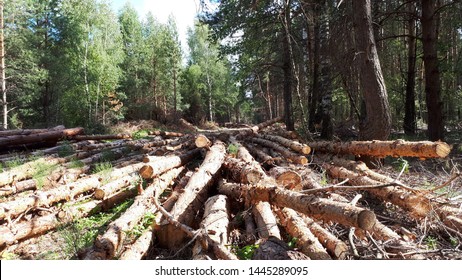 435 Clearcut area Images, Stock Photos & Vectors | Shutterstock