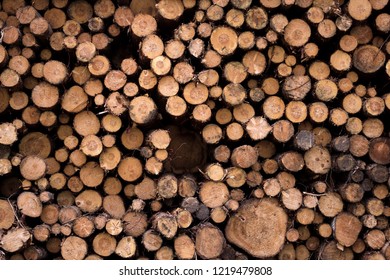 Timber Stack Wooden Pattern Banners Stock Photo 1219479808 | Shutterstock