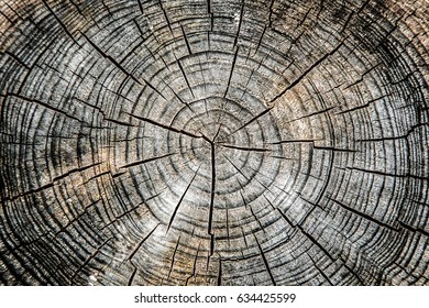 Timber Texture Stock Photo 634425599 | Shutterstock