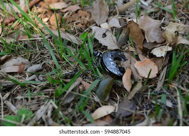 Fribbles Images, Stock Photos & Vectors | Shutterstock