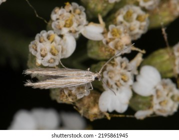 Stock Photo and Image Portfolio by Katarina Christenson | Shutterstock