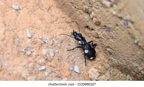 Stock Photo and Image Portfolio by Magclum | Shutterstock