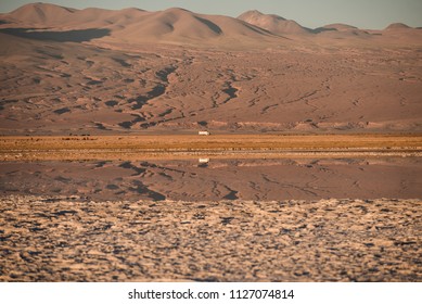 225 Desert atacama bus Images, Stock Photos & Vectors | Shutterstock