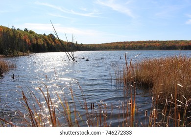 4,927 Ontario wetlands Images, Stock Photos & Vectors | Shutterstock