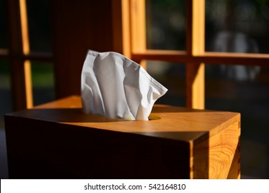 Tissue Stock Photo 542164810 | Shutterstock