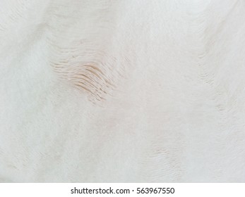 Tissues Texture Stock Photo 563967550 | Shutterstock
