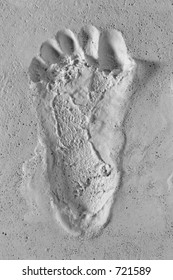 Toeprint Images, Stock Photos & Vectors | Shutterstock