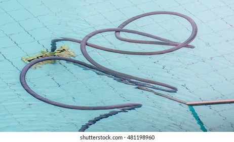 194 Pool attendant Images, Stock Photos & Vectors | Shutterstock