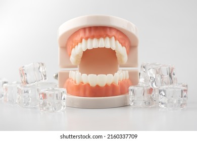 Tooth Model Ice Cubes Concept Treating Stock Photo 2160337709 ...
