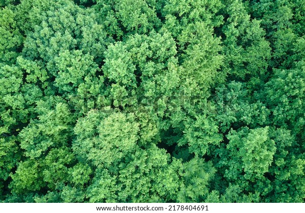 Top Down Flat Aerial View Dark Stock Photo 2178404691 | Shutterstock