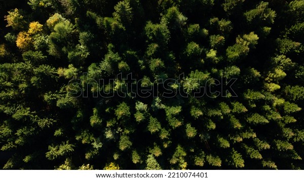 Top Down Shot Drone Looking Down Stock Photo 2210074401 | Shutterstock