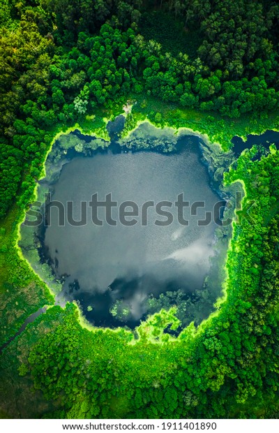 10,017 Swamp Top View Images, Stock Photos & Vectors | Shutterstock