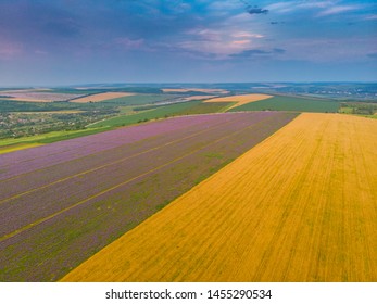 Top Down View Fields Various Types Stock Photo 1455290534 | Shutterstock
