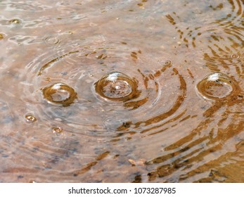 Top Down View Three Bubbles Concentric Stock Photo 1073287985 ...