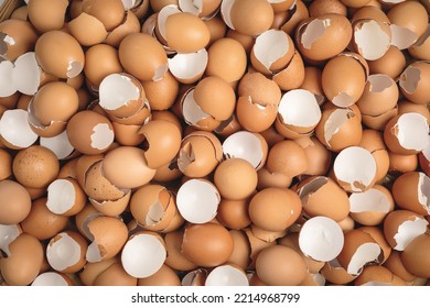 190,704 Eggshell Background Stock Photos, Images & Photography ...