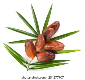 153,705 Branch Dates Images, Stock Photos & Vectors | Shutterstock