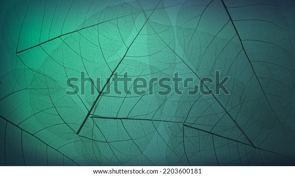 Top View Leaf Cell Patterns Skeletons Stock Photo 2203600181 | Shutterstock