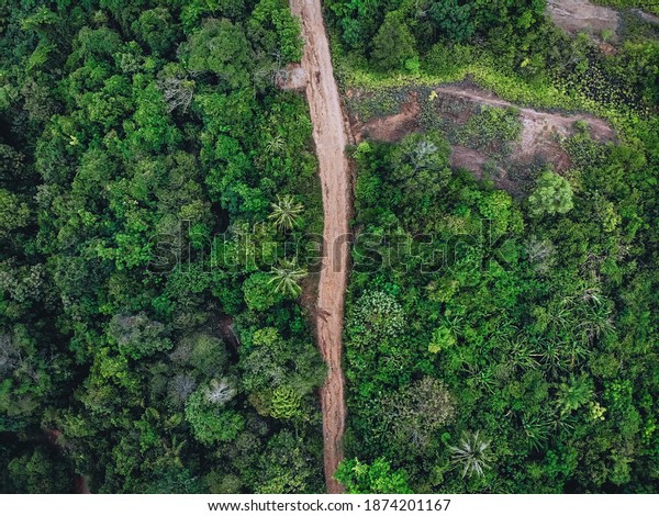 89,760 Top View Jungle Images, Stock Photos & Vectors | Shutterstock