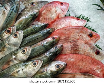 1,430 Cold storage fish Stock Photos, Images & Photography | Shutterstock