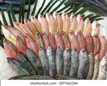 1,430 Cold storage fish Stock Photos, Images & Photography | Shutterstock