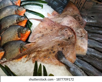 1,430 Cold storage fish Stock Photos, Images & Photography | Shutterstock