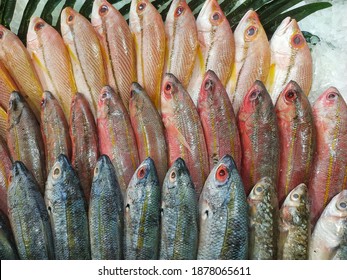 1,430 Cold storage fish Stock Photos, Images & Photography | Shutterstock
