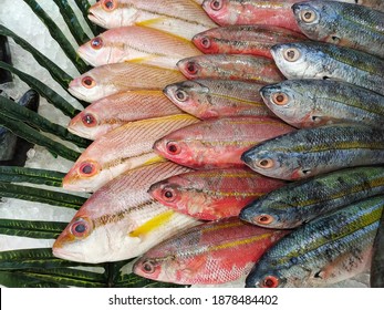 1,430 Cold storage fish Stock Photos, Images & Photography | Shutterstock
