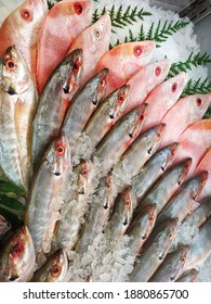 1,430 Cold storage fish Stock Photos, Images & Photography | Shutterstock