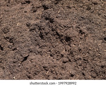 Top View Soil Texture Background Plant Stock Photo 1997928992 ...