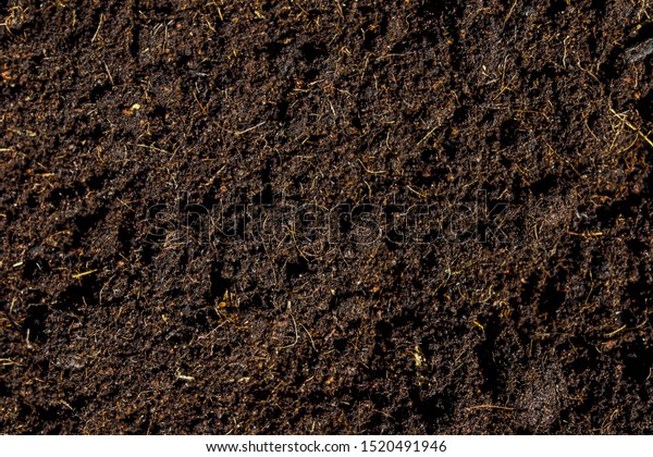 Top View Soil Texture Background Stock Photo 1520491946 | Shutterstock