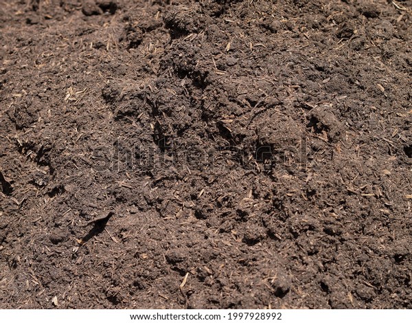 Top View Soil Texture Background Plant Stock Photo 1997928992 ...