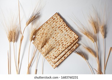 134 Matza Plant Images, Stock Photos & Vectors | Shutterstock