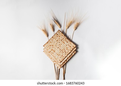 134 Matza Plant Images, Stock Photos & Vectors | Shutterstock