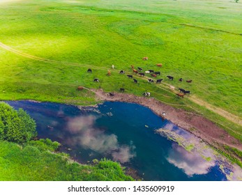 Top View Thin River Fields Around Stock Photo 1435609919 | Shutterstock