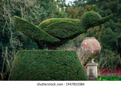360 Bird topiary Images, Stock Photos & Vectors | Shutterstock