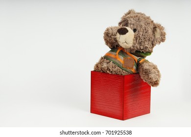 317 Teddy bear front and back Images, Stock Photos & Vectors | Shutterstock