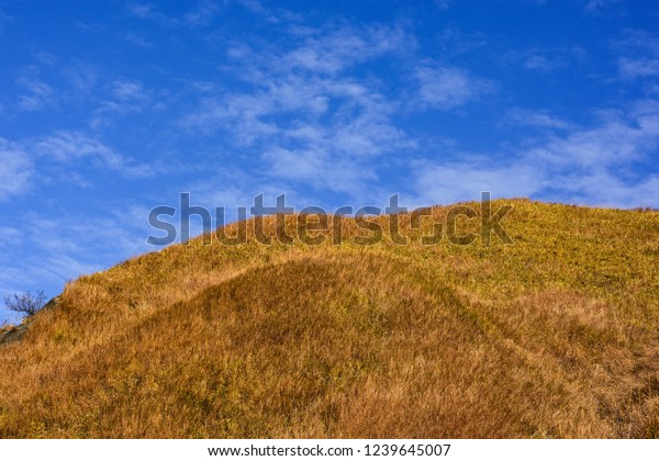 Traces Earth Breaking Down Collapse Crust Stock Photo 1239645007 ...