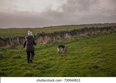 594 German shepherd tracking Images, Stock Photos & Vectors | Shutterstock