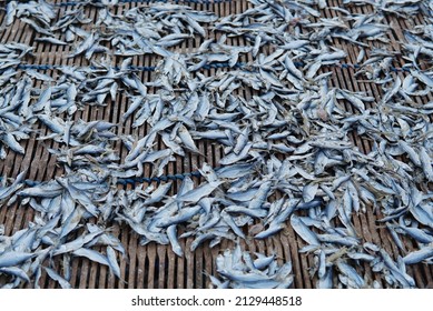 Traditional Salted Fish Drying Process Sunlight Stock Photo 2129448518 ...