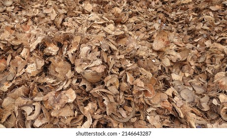 1,150 Fire coconut shell Images, Stock Photos & Vectors | Shutterstock