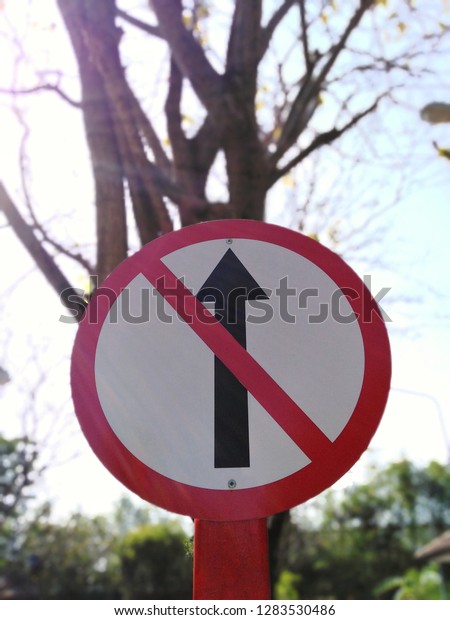 Traffic Sign Tree Background Stock Photo 1283530486 | Shutterstock