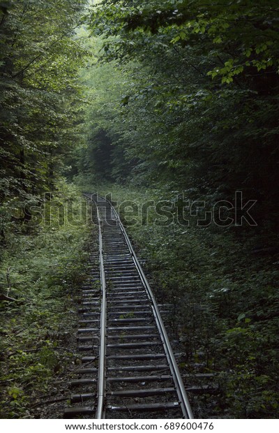 Train Rails Forest Stock Photo 689600476 | Shutterstock