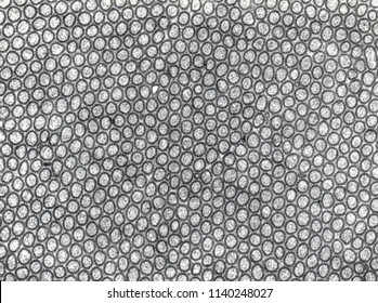 Transmission Electron Microscope Tem Micrograph Showing Stock Photo ...