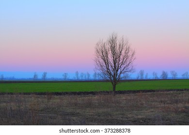 Stock Photo and Image Portfolio by Bakos Gergely | Shutterstock