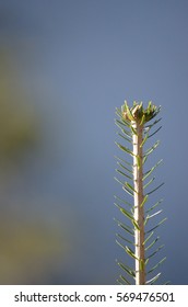 Stock Photo and Image Portfolio by Peter Basista | Shutterstock