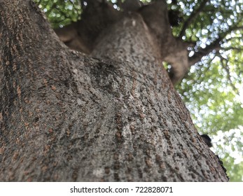 81 Leef textured Images, Stock Photos & Vectors | Shutterstock