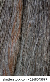 Stock Photo and Image Portfolio by RotMax | Shutterstock