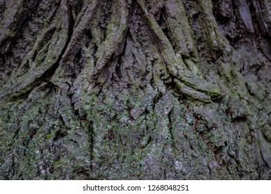 Stock Photo and Image Portfolio by RotMax | Shutterstock