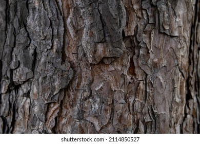 6,258 Tree bark print Images, Stock Photos & Vectors | Shutterstock